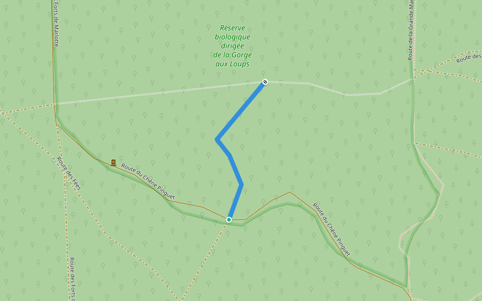 Wolf Gorge Road in Île-de-France | Walking Map