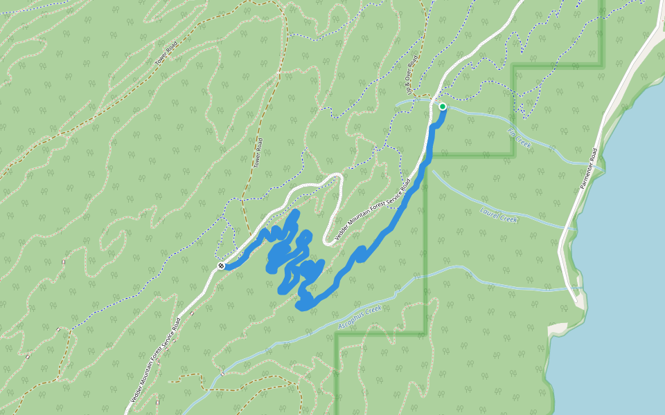 Kerry'd Away Hiking Trail - Chilliwack, British Columbia | Pacer