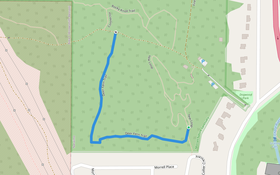 Deer Fern Trail Hiking - Nanaimo, British Columbia | Pacer