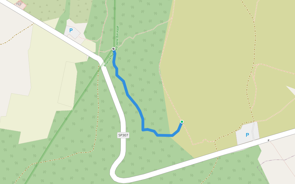 DH Black Mamba | Walking Map