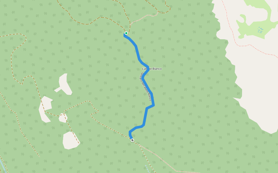 White Fir Trail | Walking Map