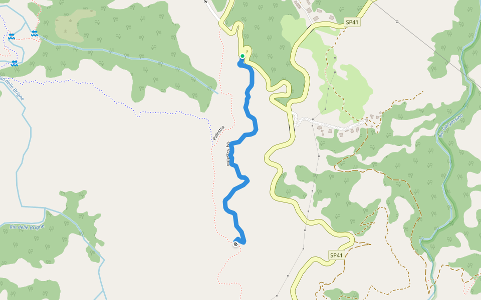 Palestra_bis | Walking Map