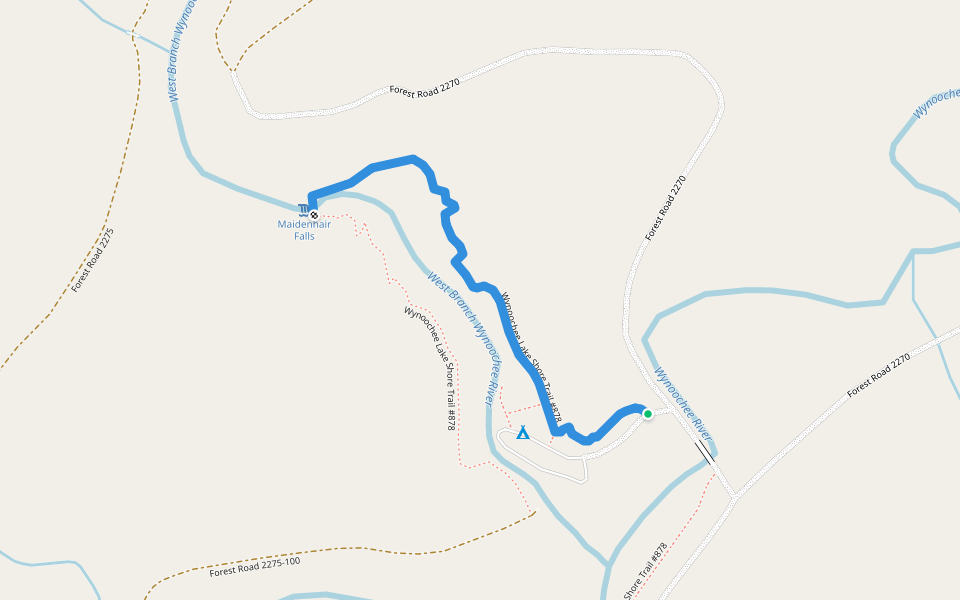 Maidenhair Falls Trail Hiking - Montesano, Washington | Pacer