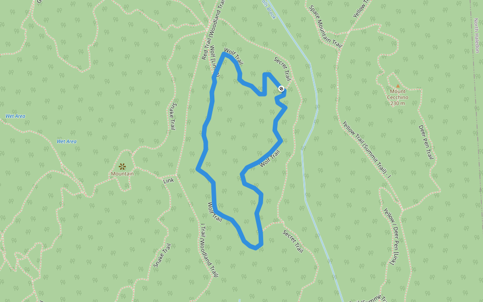 Wolf Trail Walking and Running - Wayne, New Jersey | Pacer