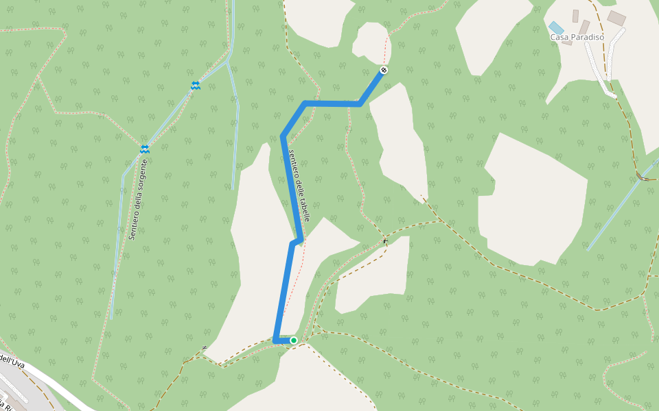 Table path | Walking Map