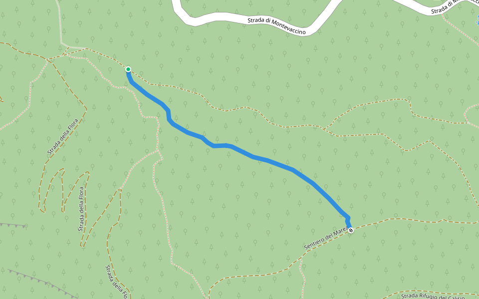 Fern Trail | Walking Map