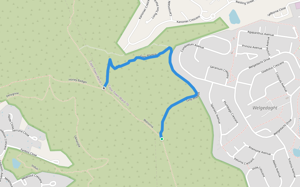 Grey Rhebok in Western Cape | Walking Map