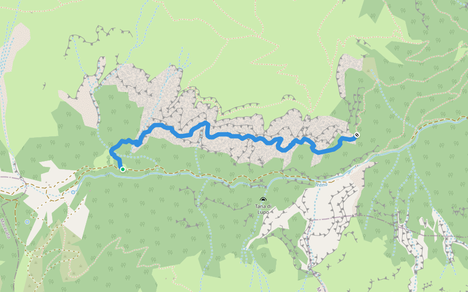 Goat Trail Hiking - Marche | Pacer