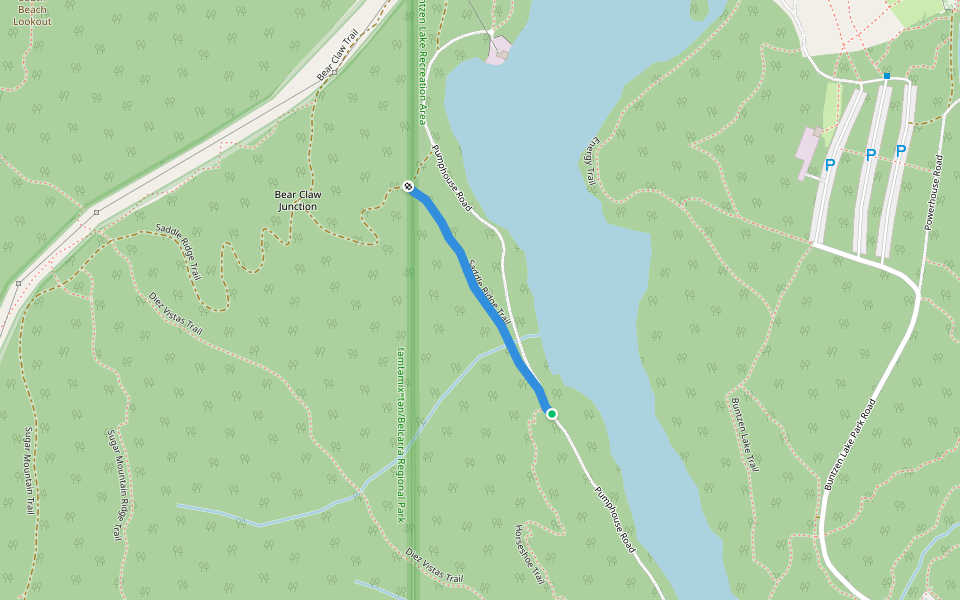 Saddle Ridge Trail Walking and Running - Anmore, British Columbia | Pacer