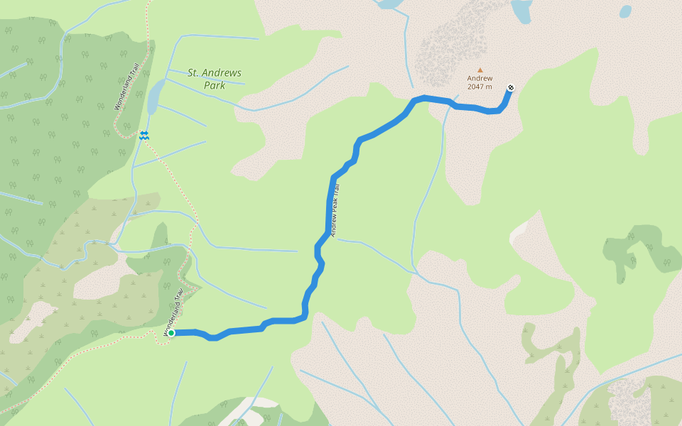 Andrew Peak Trail Hiking - Ashford, Washington | Pacer