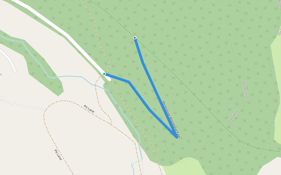 Permissive Woodland Path Walking And Running Trail - England | Pacer