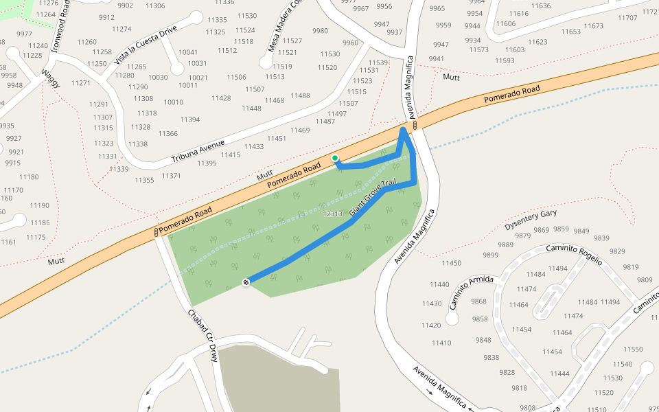 Giant Grove Trail Walking and Running - San Diego, California | Pacer