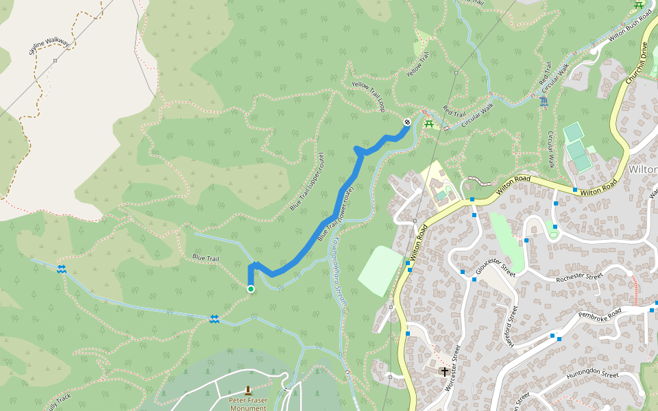 Blue Trail (lower route) Walking and Running - Wellington | Pacer