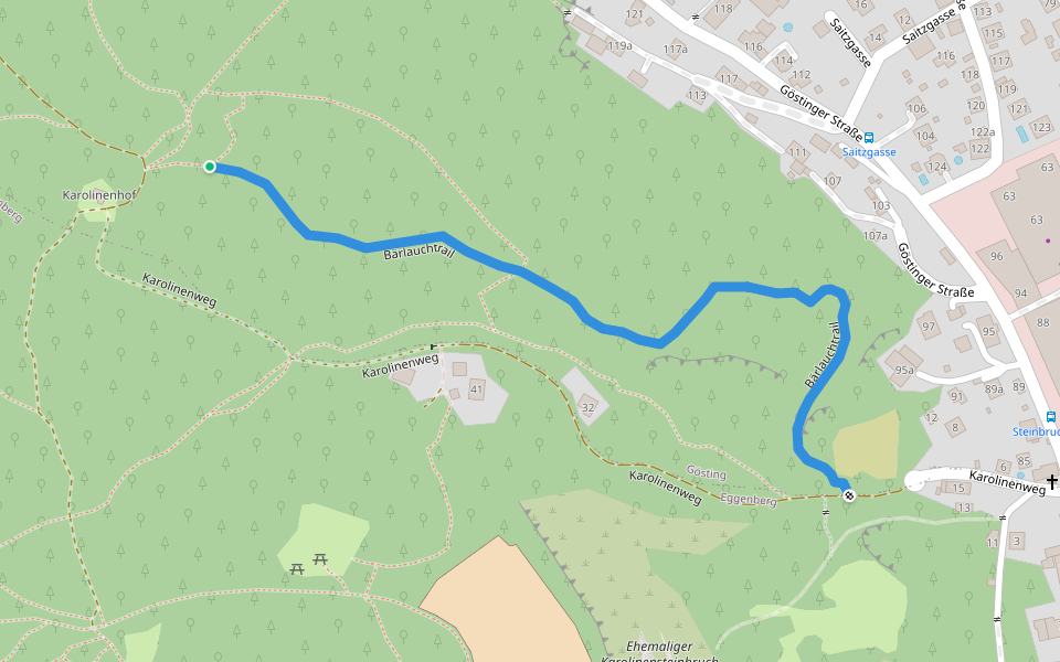 Wild garlic trail Hiking - Graz, Steiermark | Pacer
