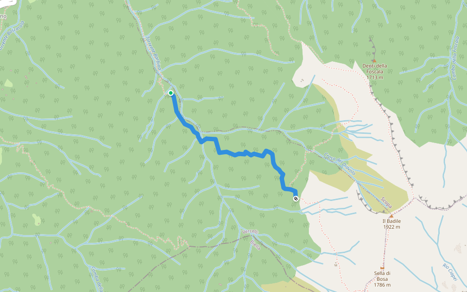 Alpe Barbina - Alpe Sella Bosa path Hiking Trail - Piemonte | Pacer
