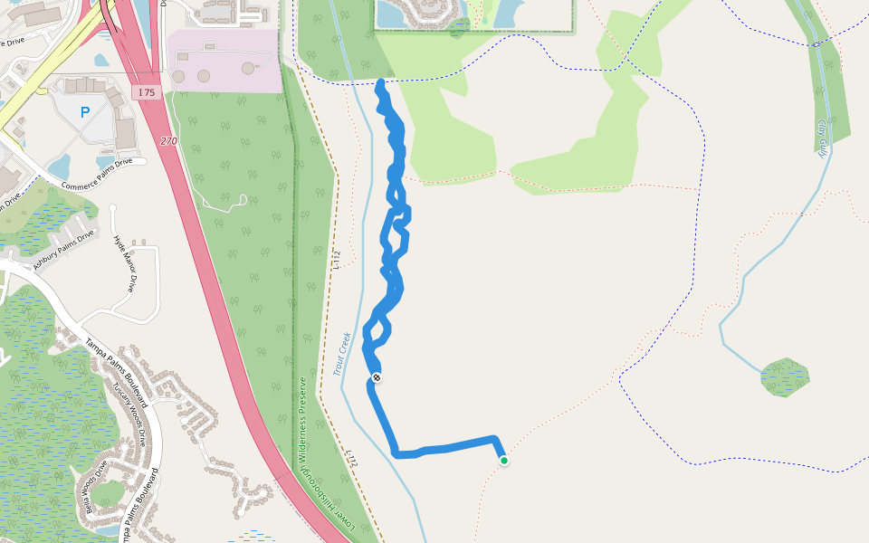 Panther in Florida | Walking Map