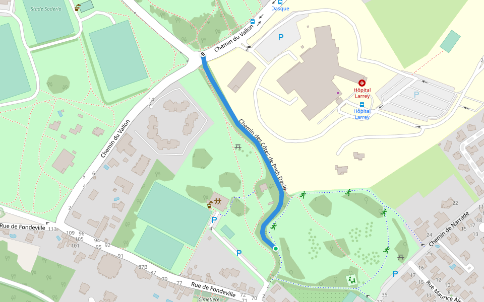 Path of the Côtes de Pech David Walking And Running Trail - Toulouse ...