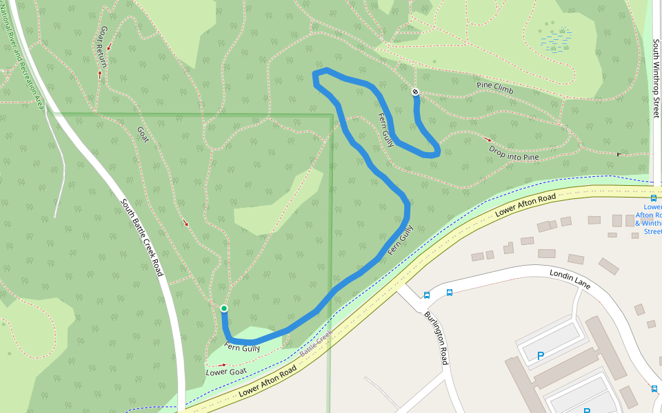 Fern Gully Hiking Trail - Saint Paul, Minnesota | Pacer