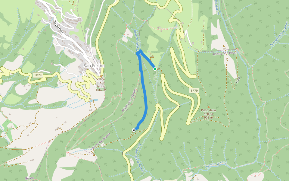 ASR 02 - The Forest and the Wildlife Walking And Running Trail ...