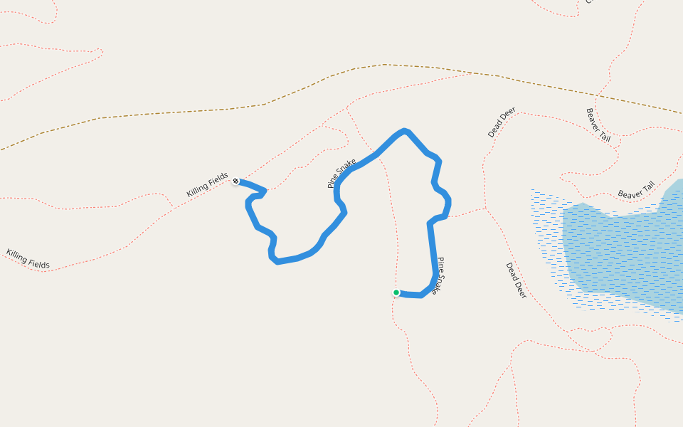 Pine Snake in Michigan | Walking Map