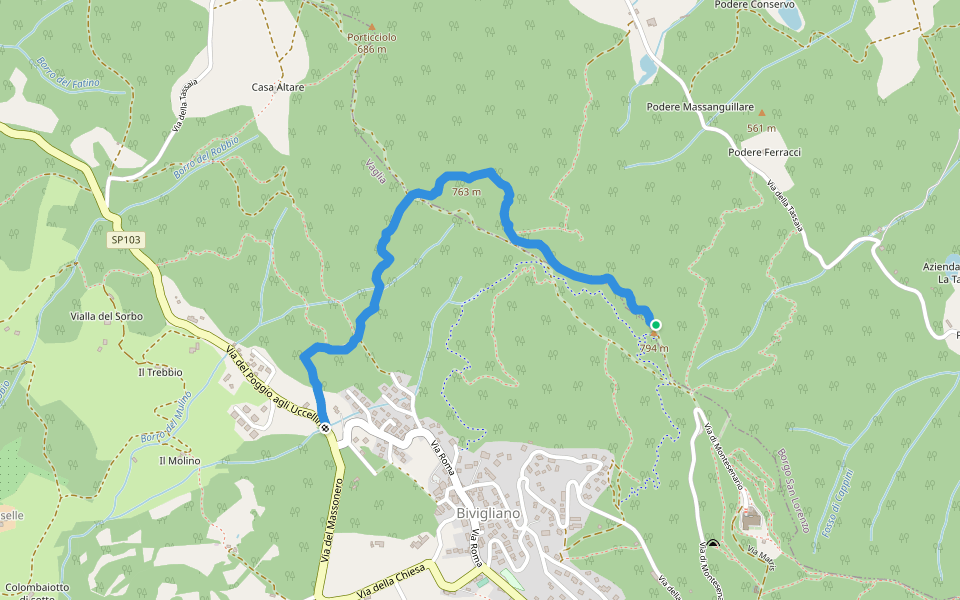 GTM Trail MSBA | Walking Map