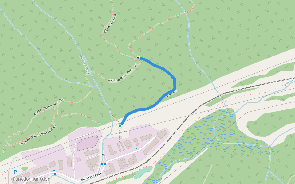 Short Bus Hiking Trail - Whistler, British Columbia | Pacer