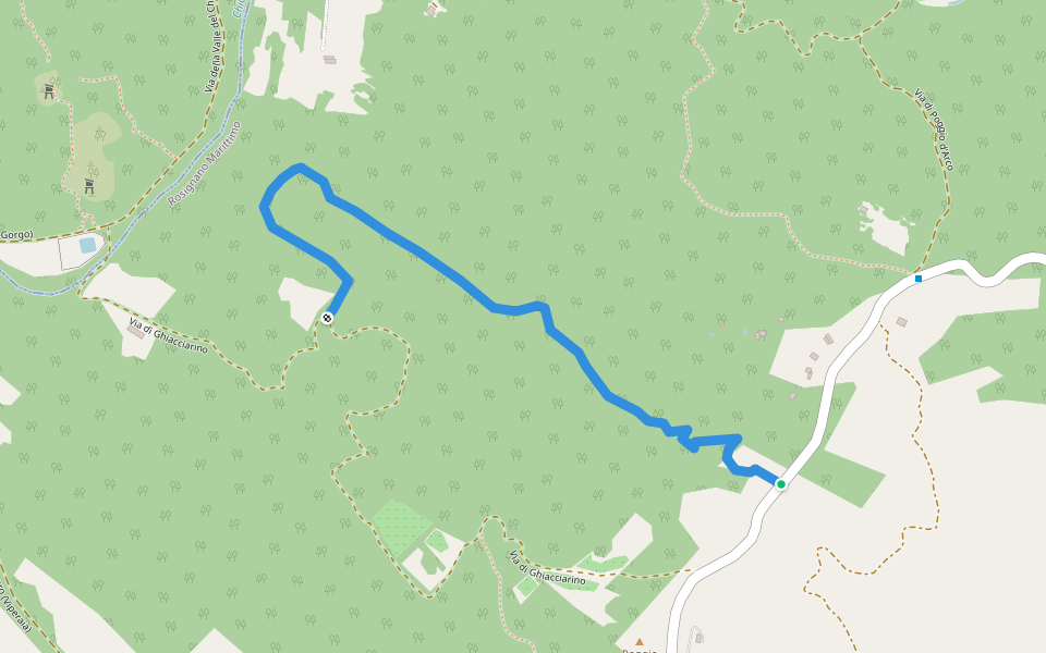 Variant ice cube Walking And Running Trail - Toscana | Pacer