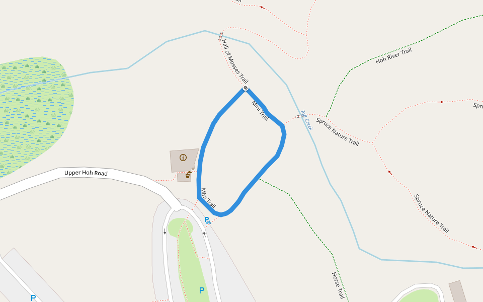 Mini Trail Walking and Running - Forks, Washington | Pacer