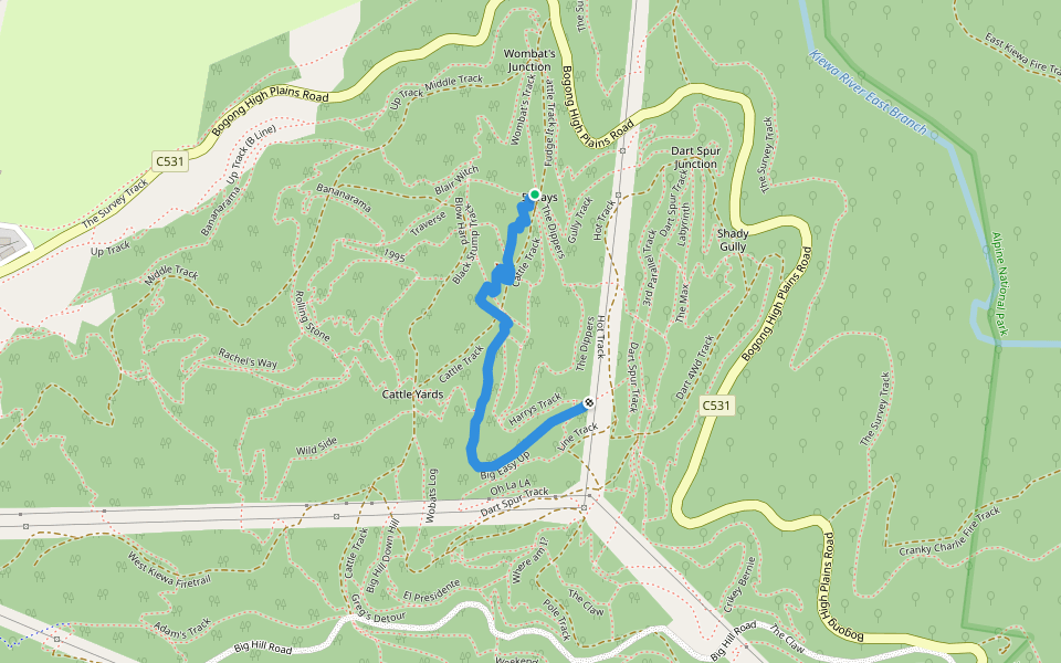 Big Easy Up Hiking Trail - Mount Beauty, Victoria | Pacer