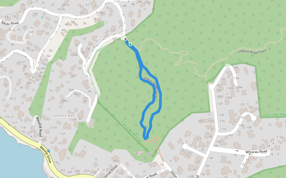 Dillon Street Loop in Wellington | Walking Map