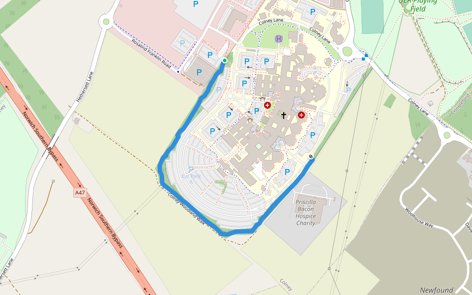 Colney Woodland Walk Trail - Cringleford, England | Pacer