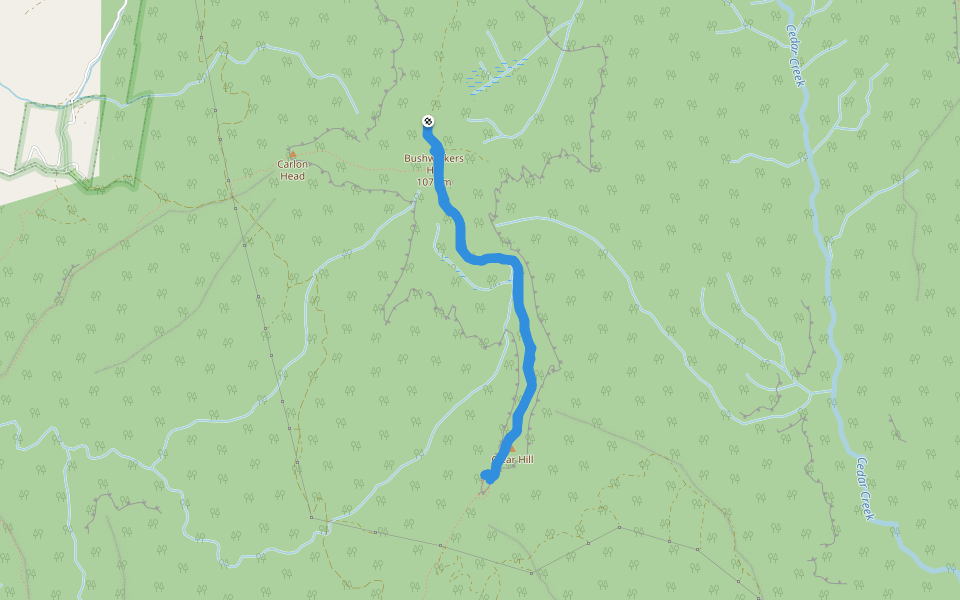 Narrow Neck Fire Trail in New South Wales | Walking Map