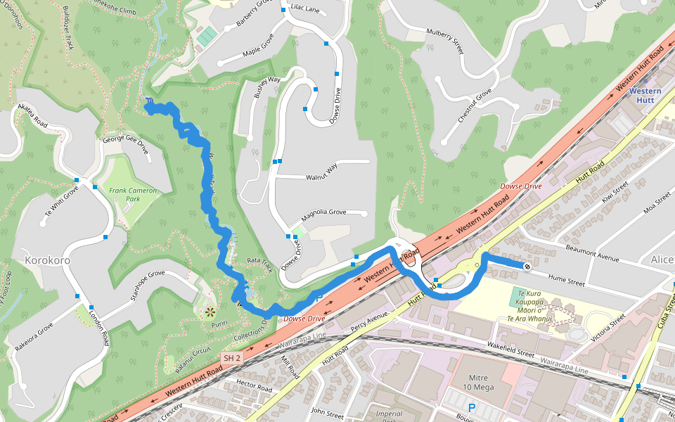 Percy Scenic Reserve - Waterfall Track in Wellington | Walking Map