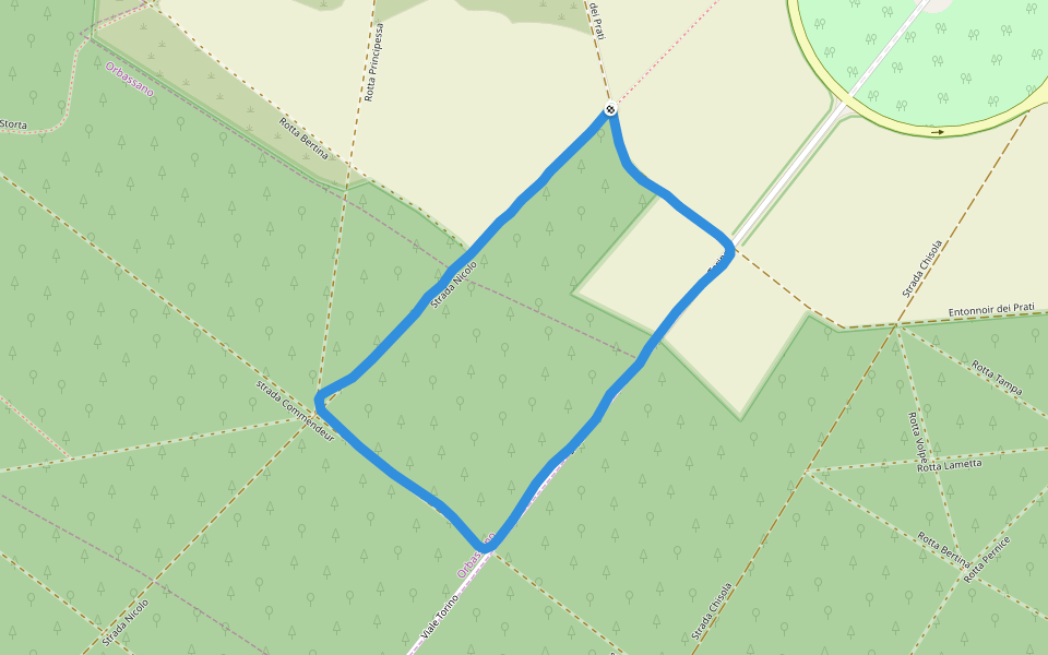 Parque Natural Stupinigi | Walking Map