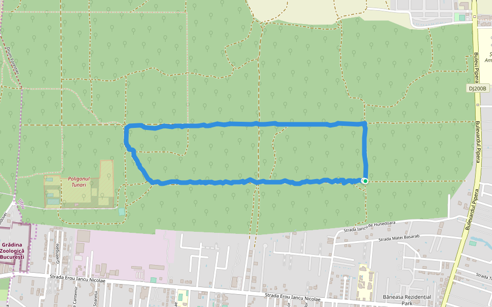 Baneasa Forest - Tunari in Județul Ilfov | Walking Map