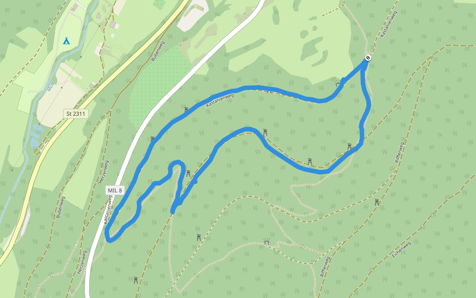 Kastanienweg 등산로 - Amorbach, 바이에른 주, 독일 | Pacer