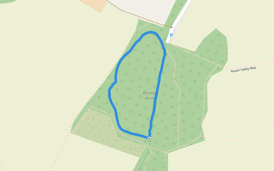 Bluebell Wood Walking And Running Trail - Hockley, England | Pacer