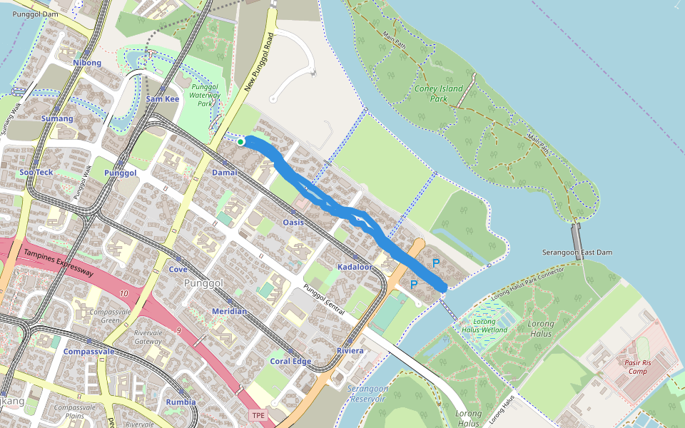 My Waterway@Punggol Walking And Running Trail - Singapore, North-East ...